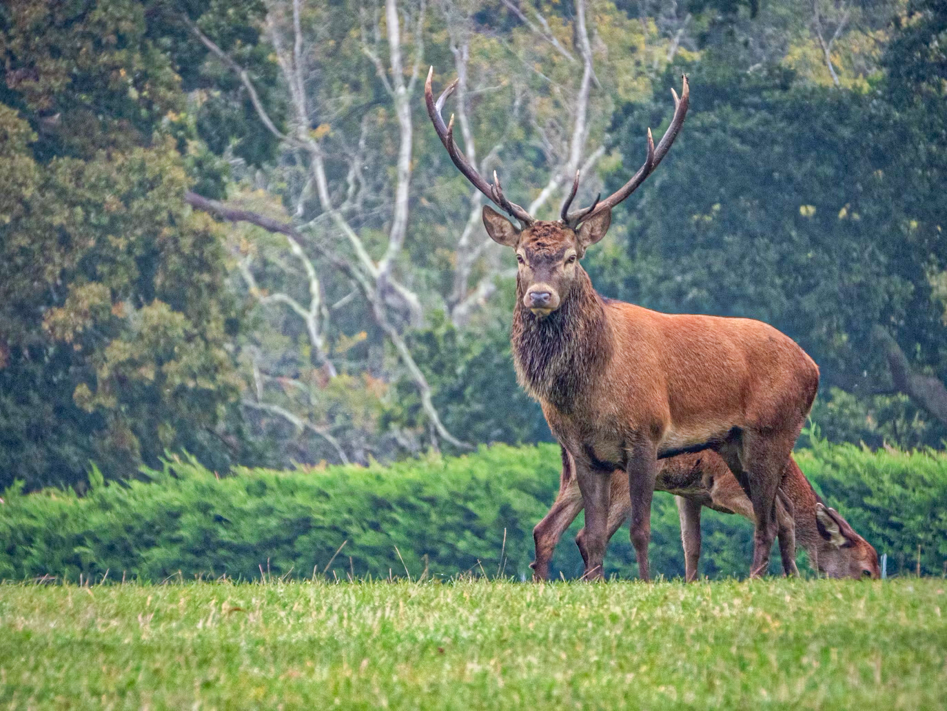 20 Facts About Scotland You Need To Know